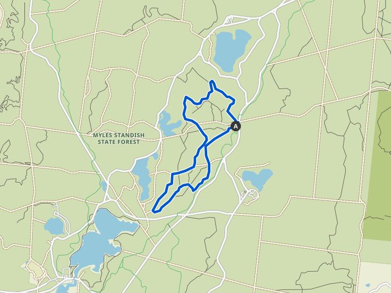 Bentley Loop Trail – Myles Standish State Forest | hike | Komoot